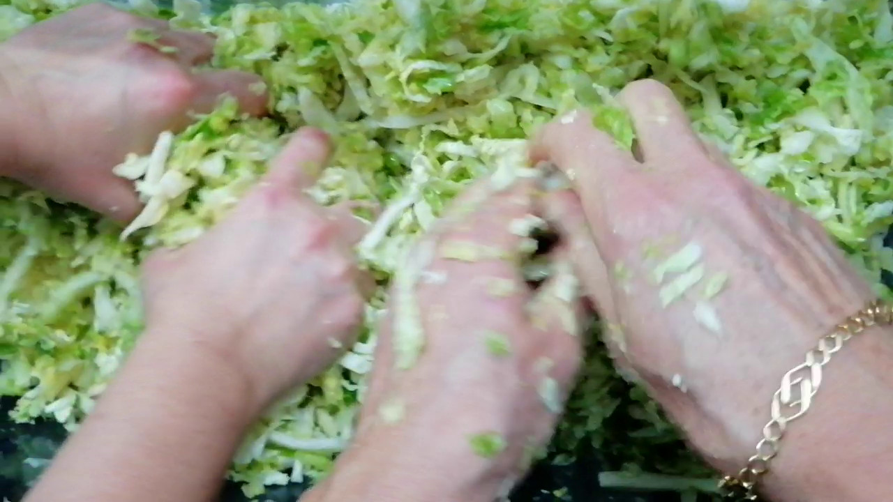 PUAj! Laboratorio de culturas vivas | sonia villar